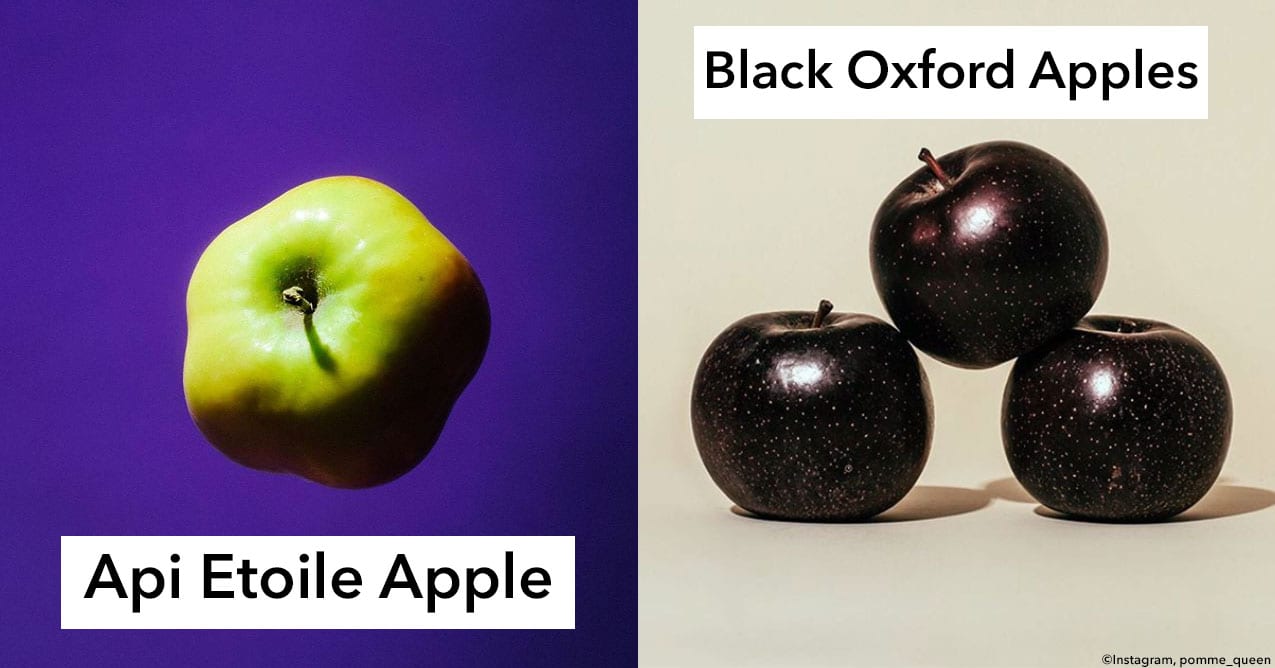 Celebrate the World's Surprising Variety of Weird and Wonderful Apples