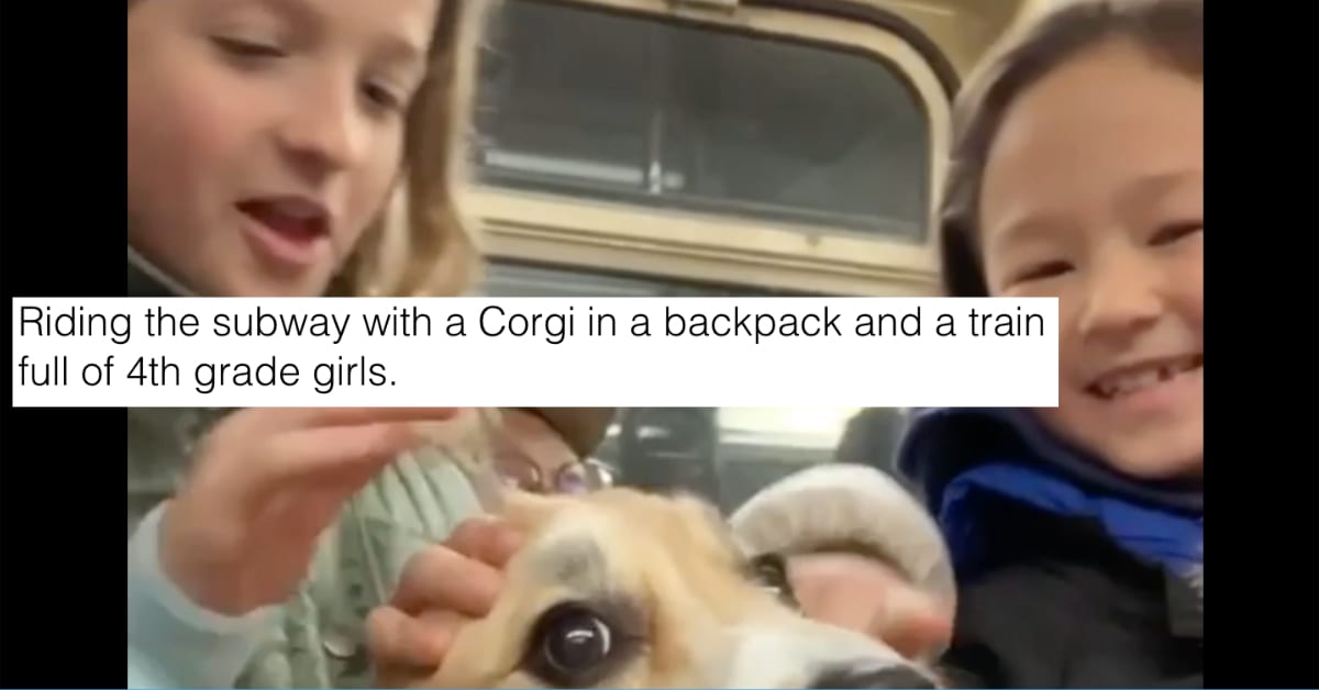 15 People Share Good Things That Happened To Them