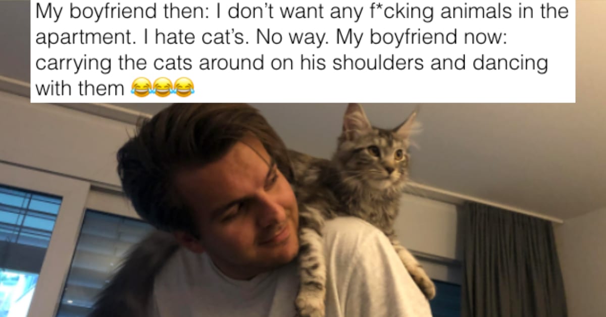 12 Men Who Said They Didn't Want Cats, But They Fell In Love With Them