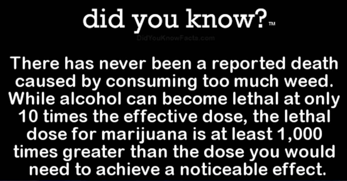 10 Interesting Facts About Marijuana