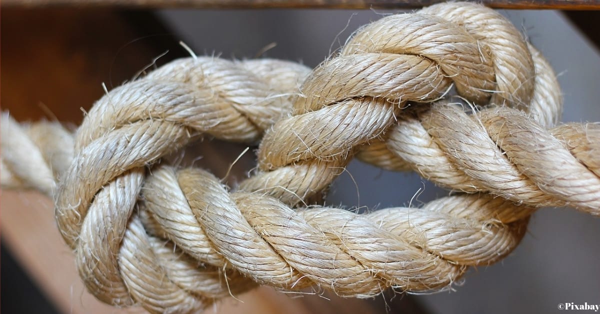 10 Important Knots You Should Know How to Tie