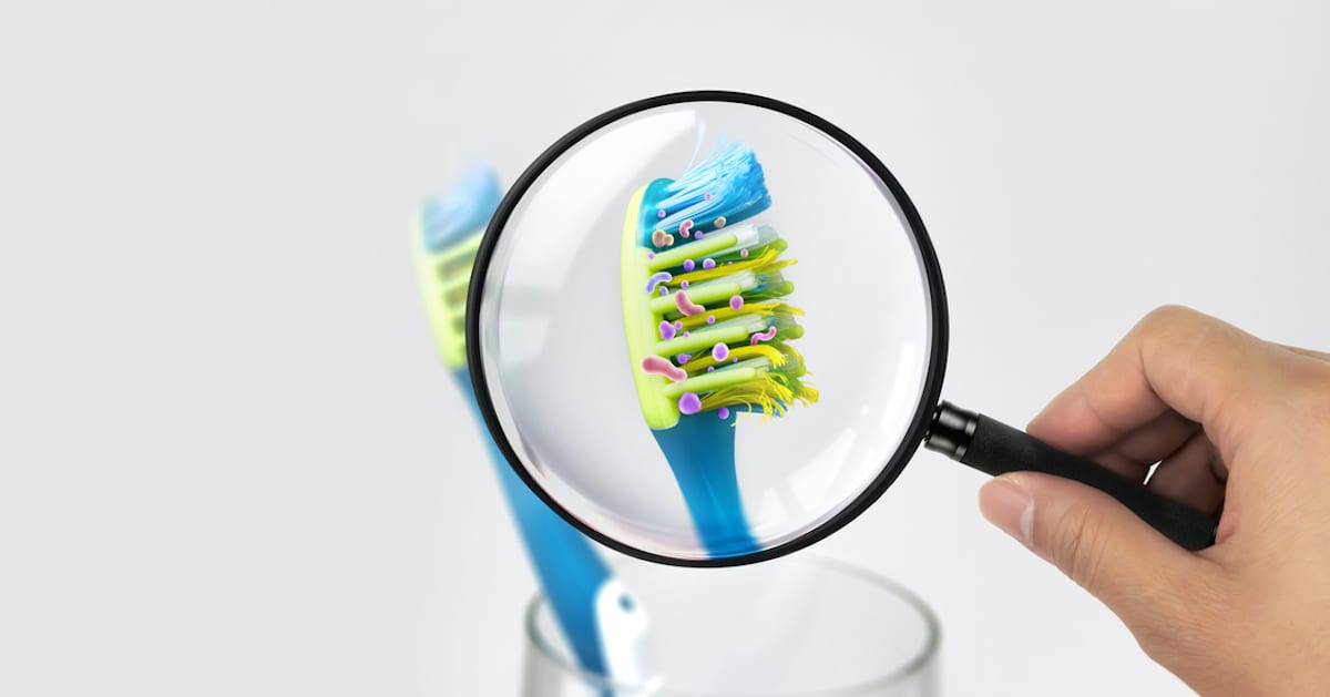 Your Toothbrush Is Pretty Disgusting — Here's How Often You Should ...