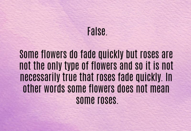 Try to Solve These 6 Tricky Riddles If You Dare