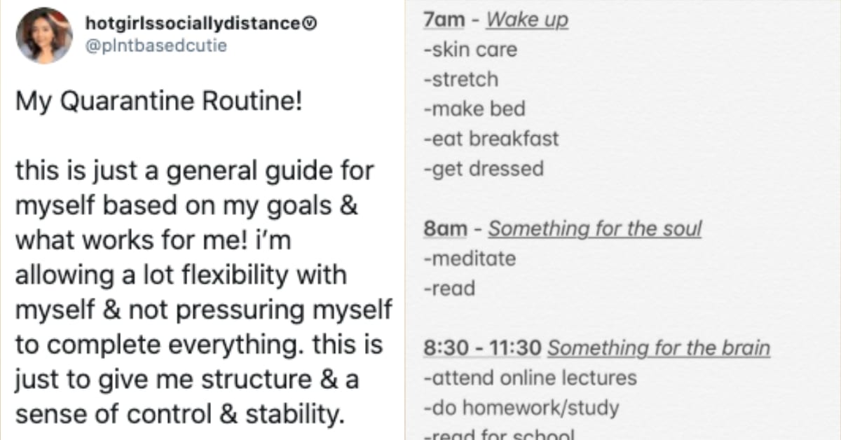 This Woman Created A Detailed Lockdown List And Routine, Trying To ...