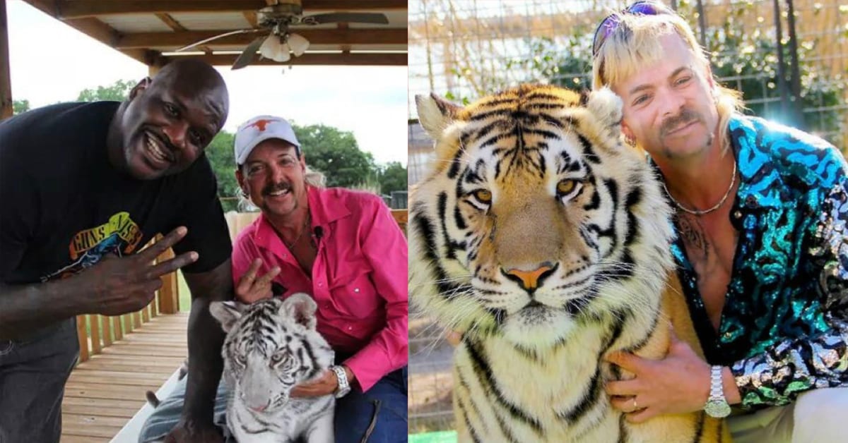 14 Facts So Wild They Could Only Be About 'Tiger King'
