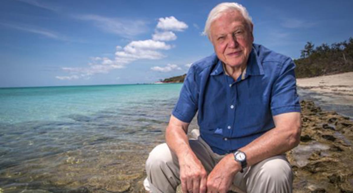 Kids Can Take Geography Lessons at Home From British TV Legend David ...