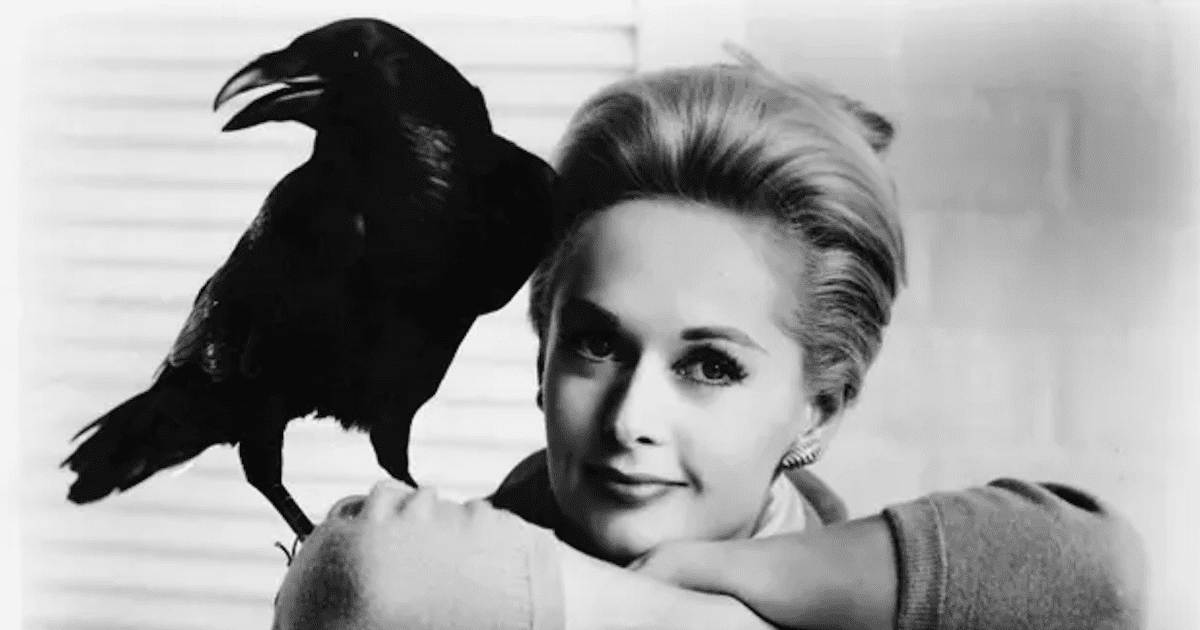 15 Facts That Show How Crazy Hollywood Used to Be