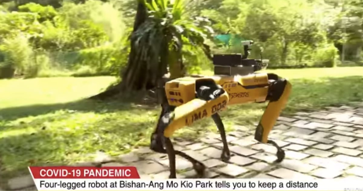 The Robot Dog in Singapore That's Helping People Keep Their (Social ...
