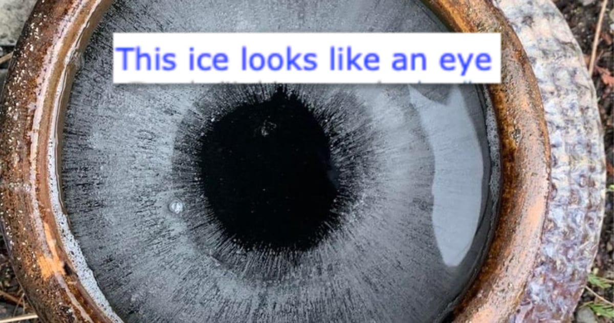 These 11 Things Look Like Other Things But Are Not, At All, Those Things