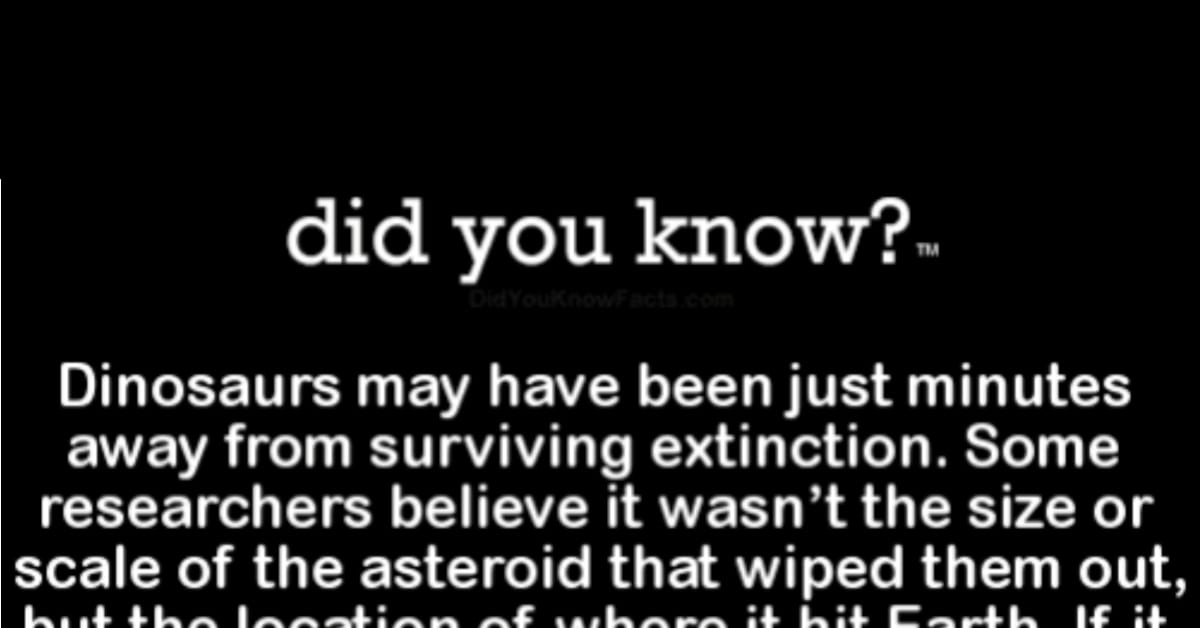 10 Great Facts That We Think Will Impress You And Your Friends