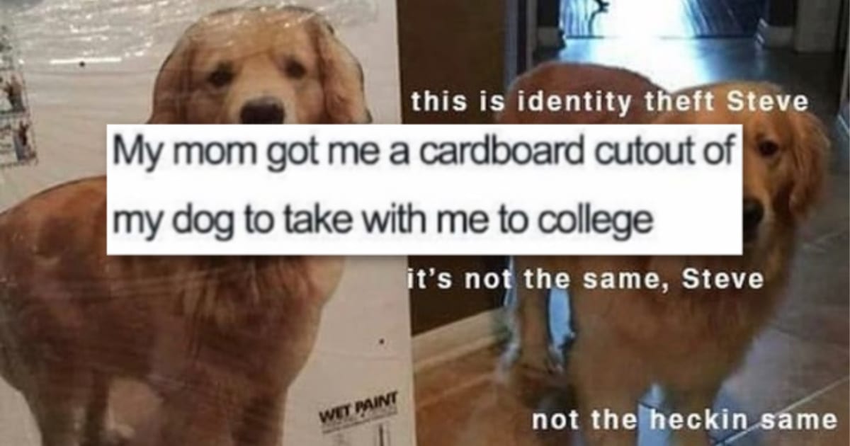 12 Memes for the Dog Lover in All of Us