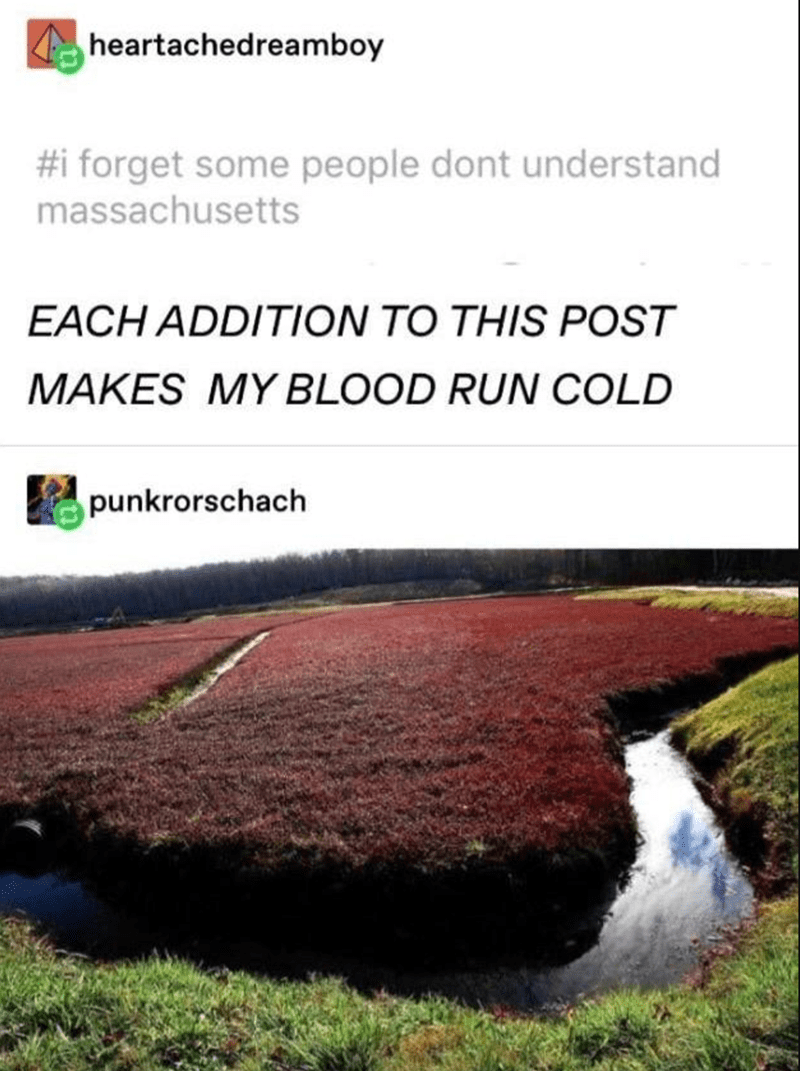 If You Work in the Cranberry Bogs, You Better Be Okay With the Wolf ...