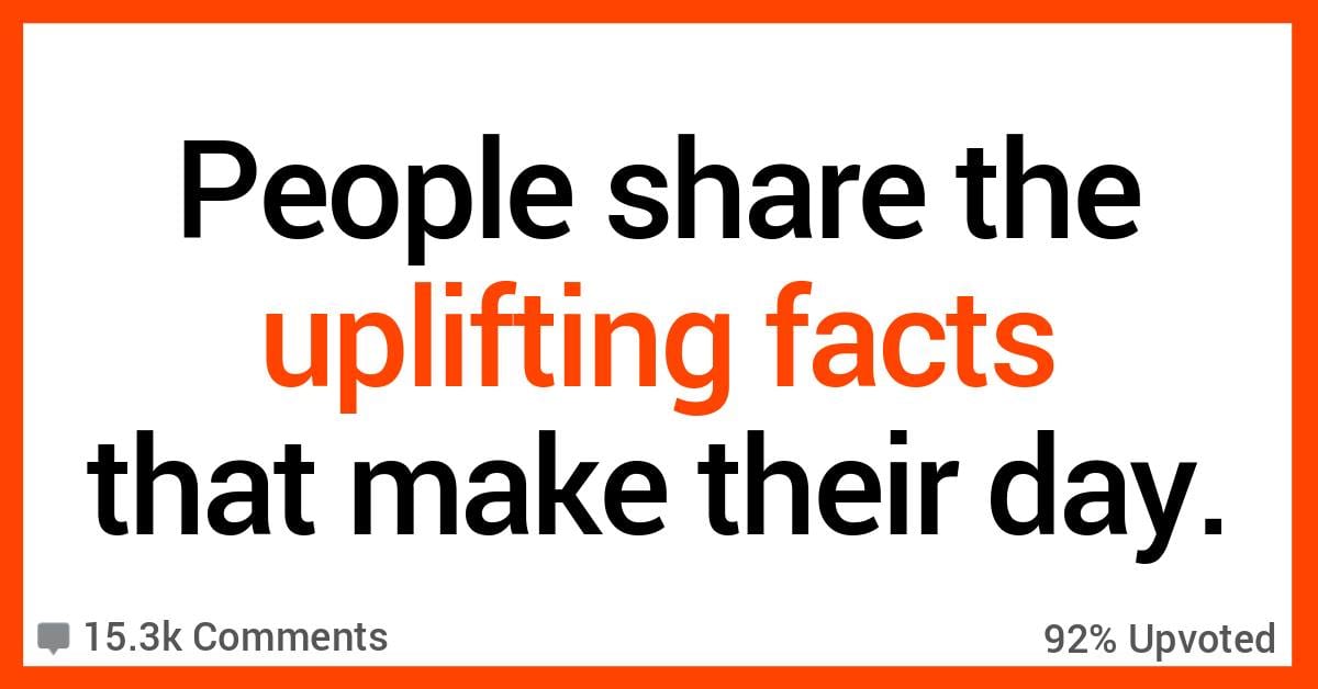 14 People Discuss Very Uplifting Facts That Should Make Us Feel Better ...
