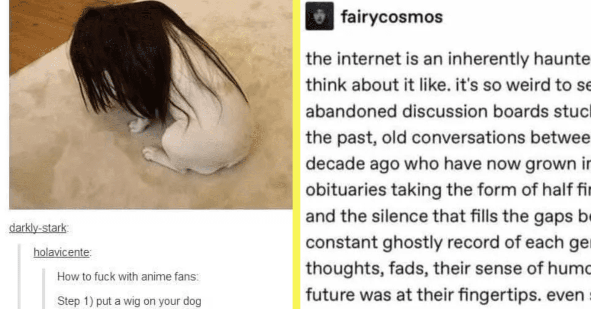 14 of the Tastiest Memes We Could Find That We Love