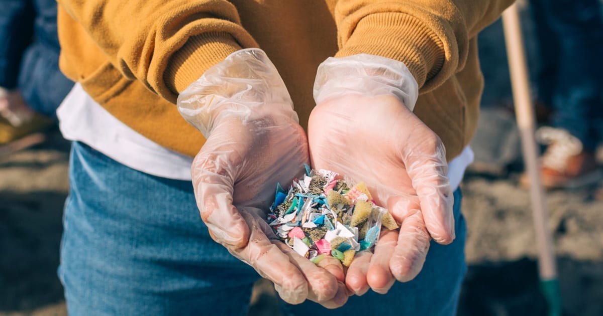 Research Shows Microplastics Exist in All of Our Organs