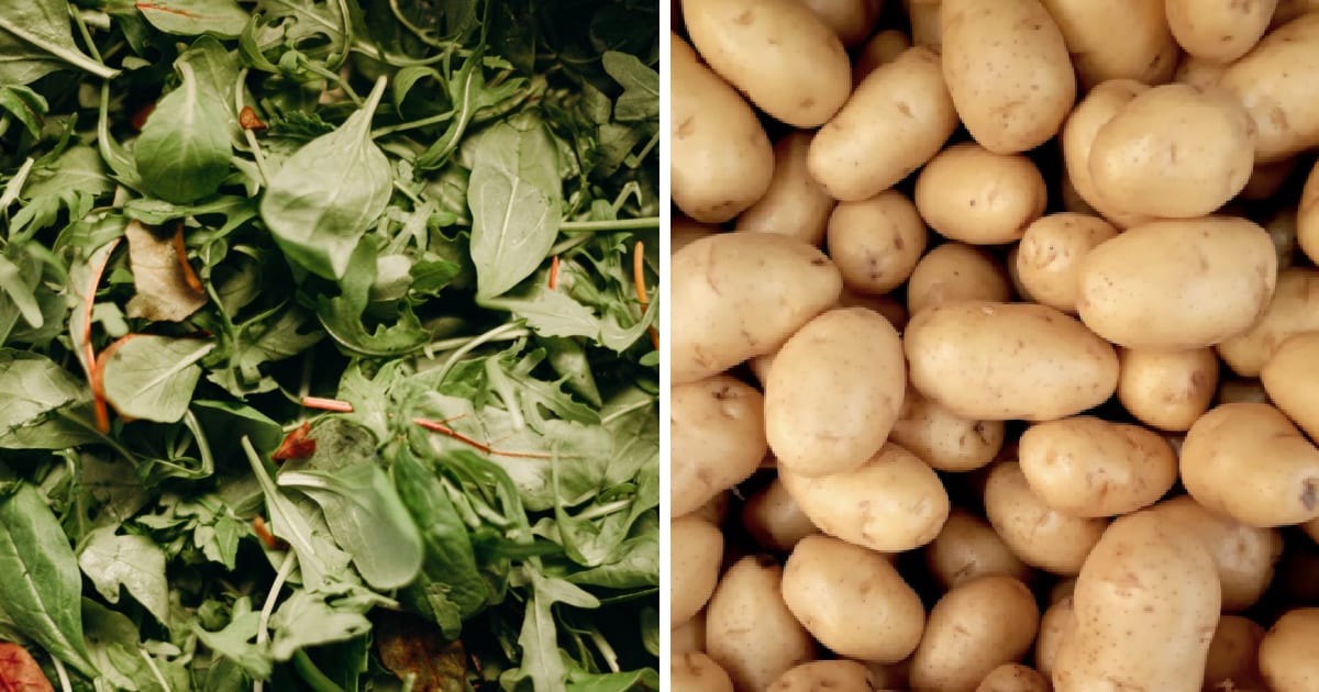 8 Kinds Of Leftovers You Should Definitely Toss