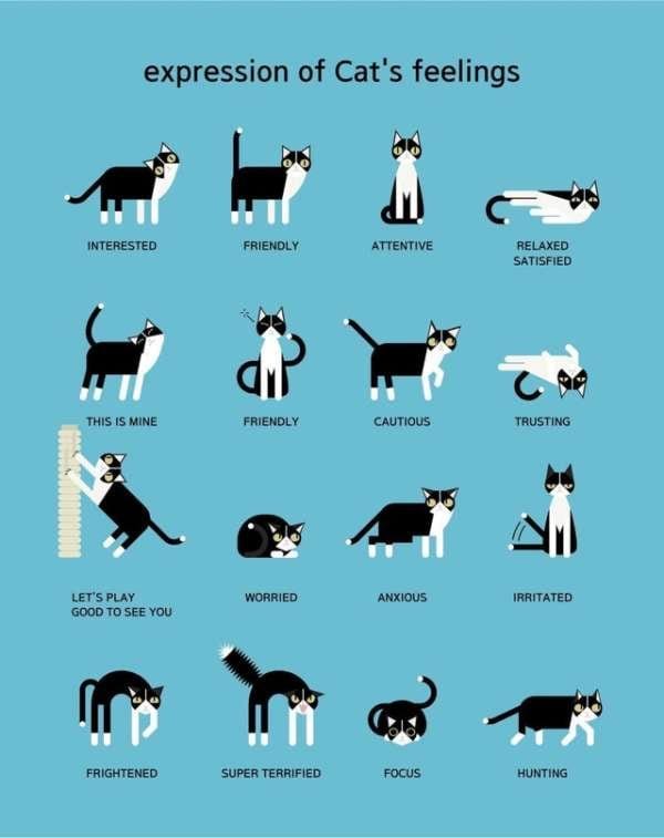 12 Useful Pieces of Information Everyone Should Know