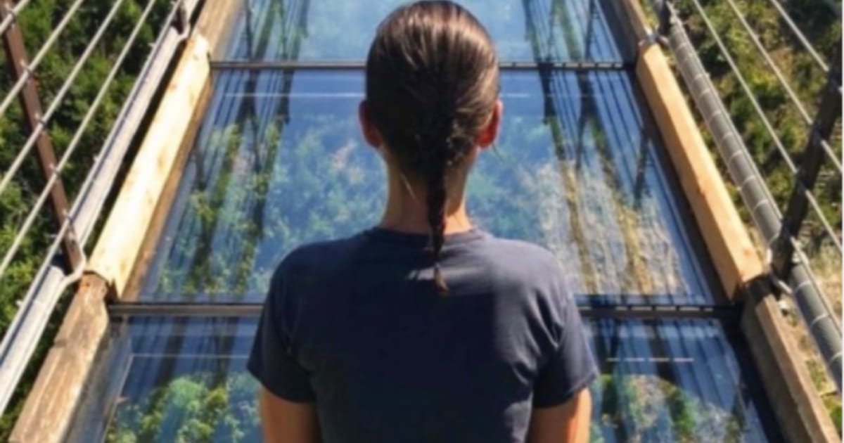 Check Out Tennessee's Magical Skybridge That Winds Through the Treetops