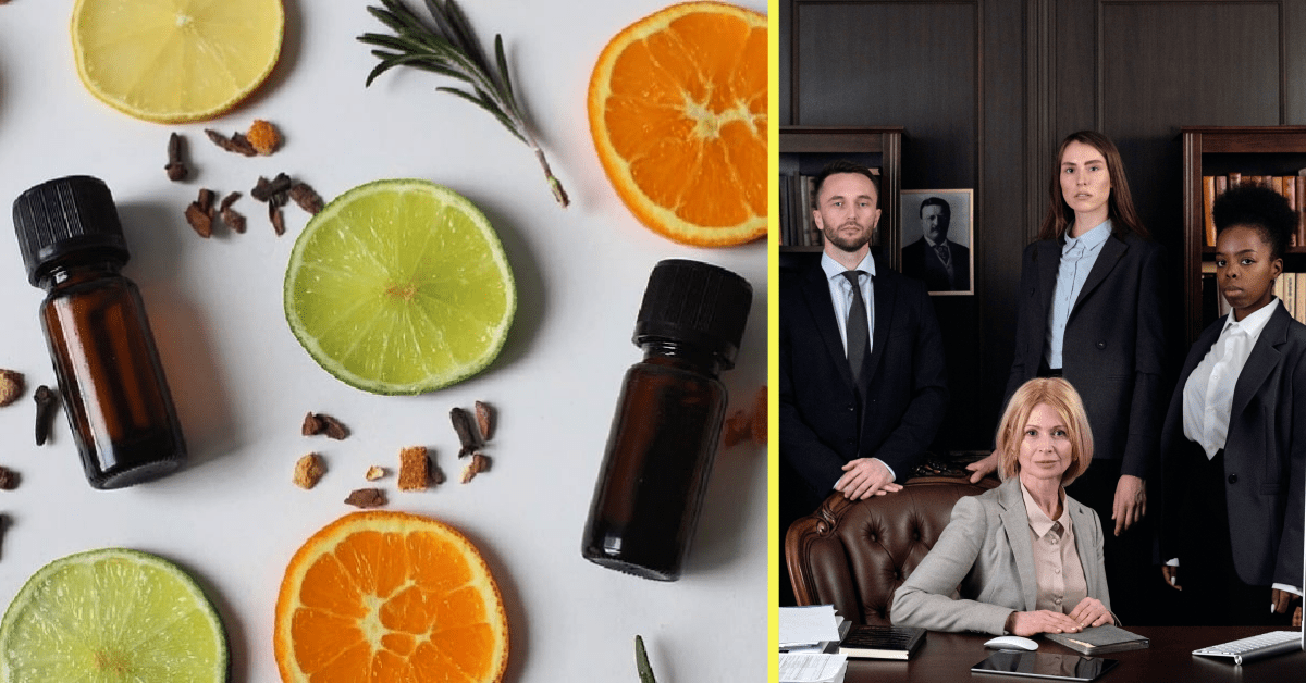 How Does A MLM Scheme Work? And Learn How To Tell If You're Dealing ...