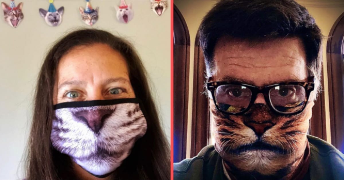 13 Face Masks for Anyone Who Secretly Wishes They Were a Cat