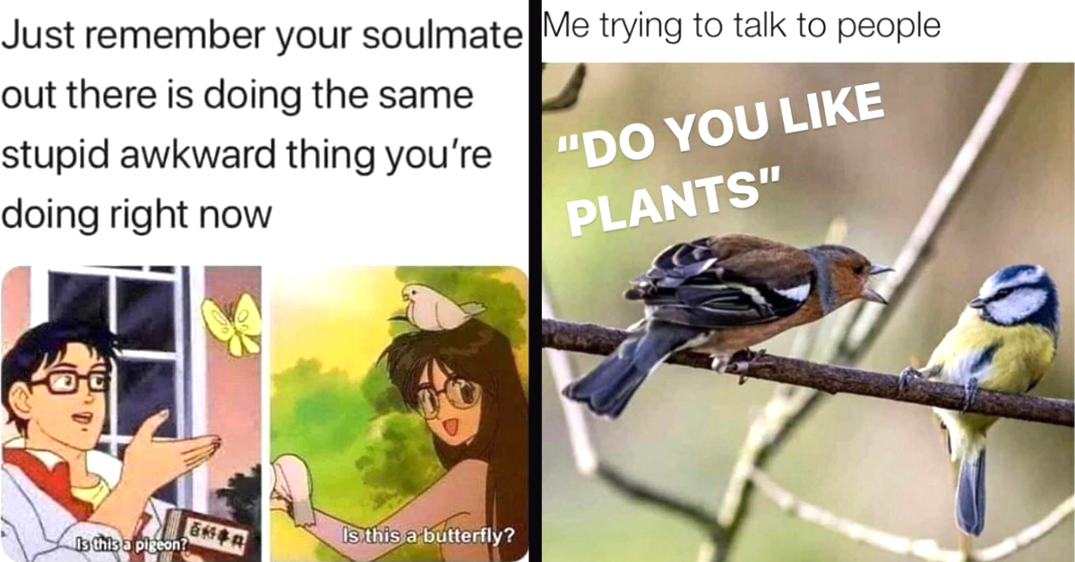 12 More Funny Memes to Help Numb Your Brain