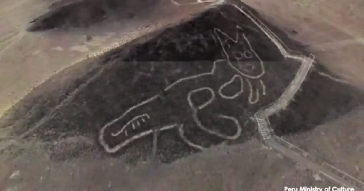 Scientists Have Discovered a Giant Drawing of a 2000-Year-Old Peruvian Cat