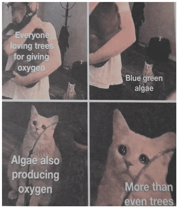 14 Smarty-Pants Memes for the Cultured Soul