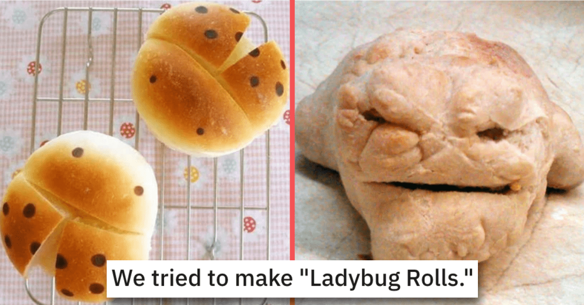 Funny Cooking and Baking Fails That Might Make You Cringe