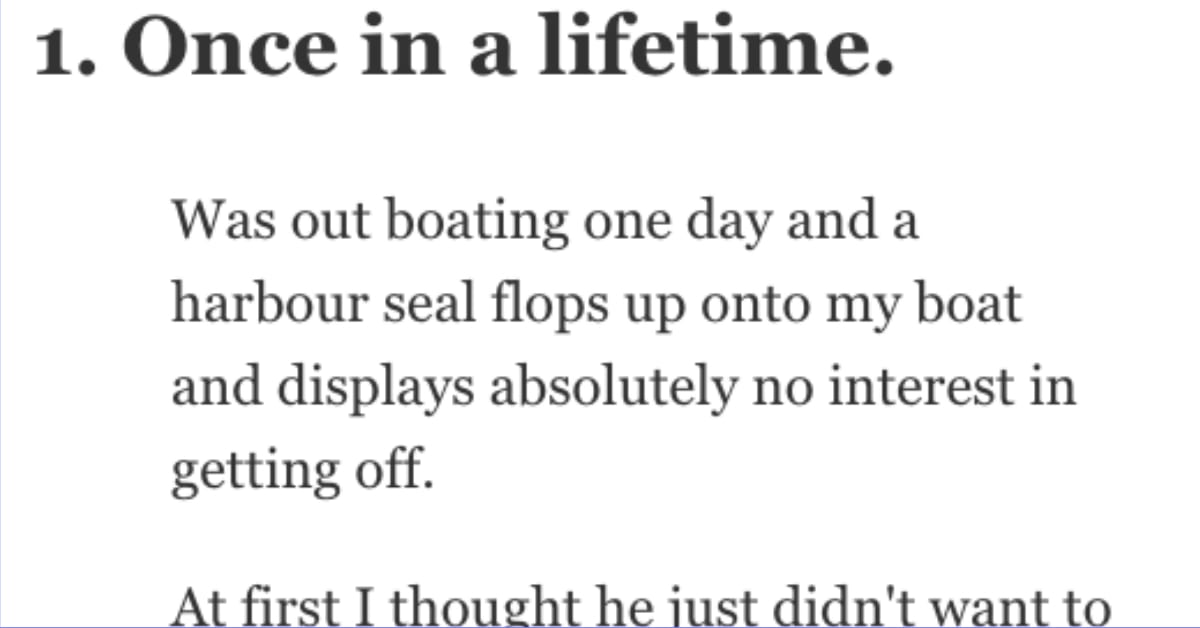 15 Sailors Share the Strangest Things They've Seen at Sea