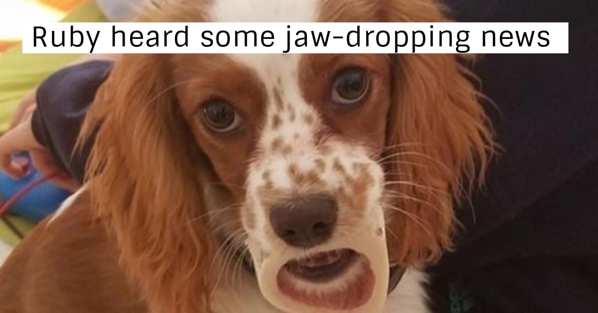 16 Memes That Will Make You Do a Double-Take