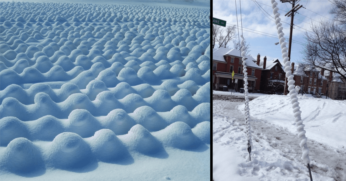 Beautiful Photos of Snow That Will Make You Appreciate The Cold Winter ...