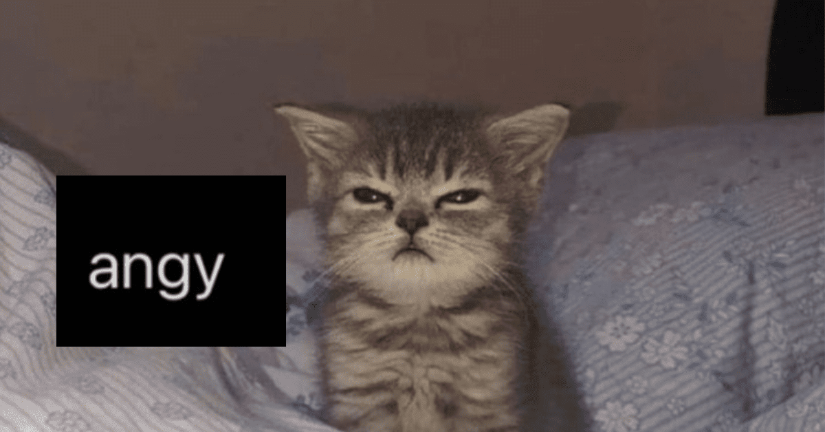 12 Painfully Accurate Memes About The Ups and Downs of Life