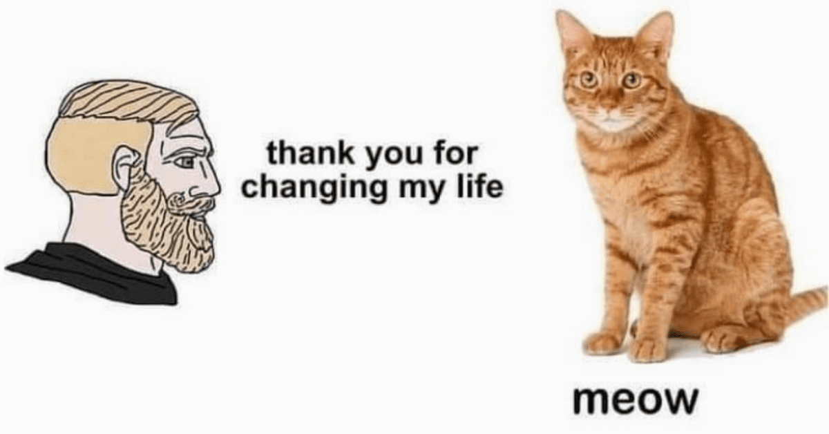 13 Totally Relatable Memes Just About Being a Regular Human