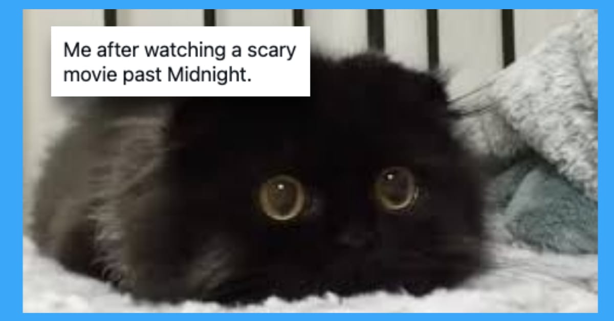 22 Jokes for the Horror Fans Among Us