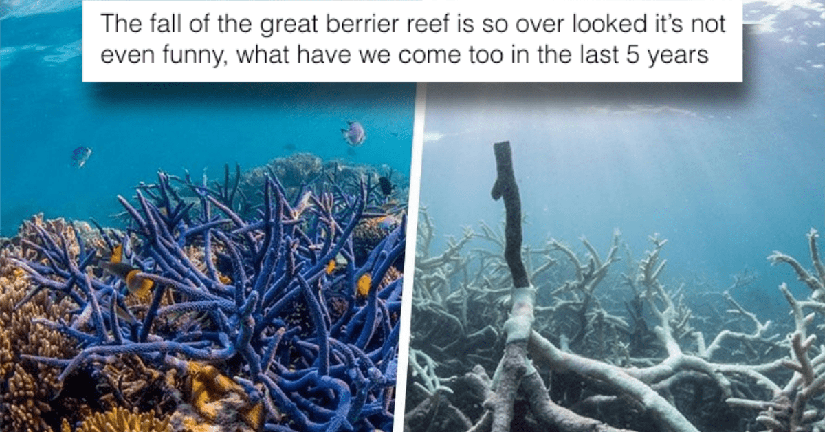 Climate Change Pictures Before And After