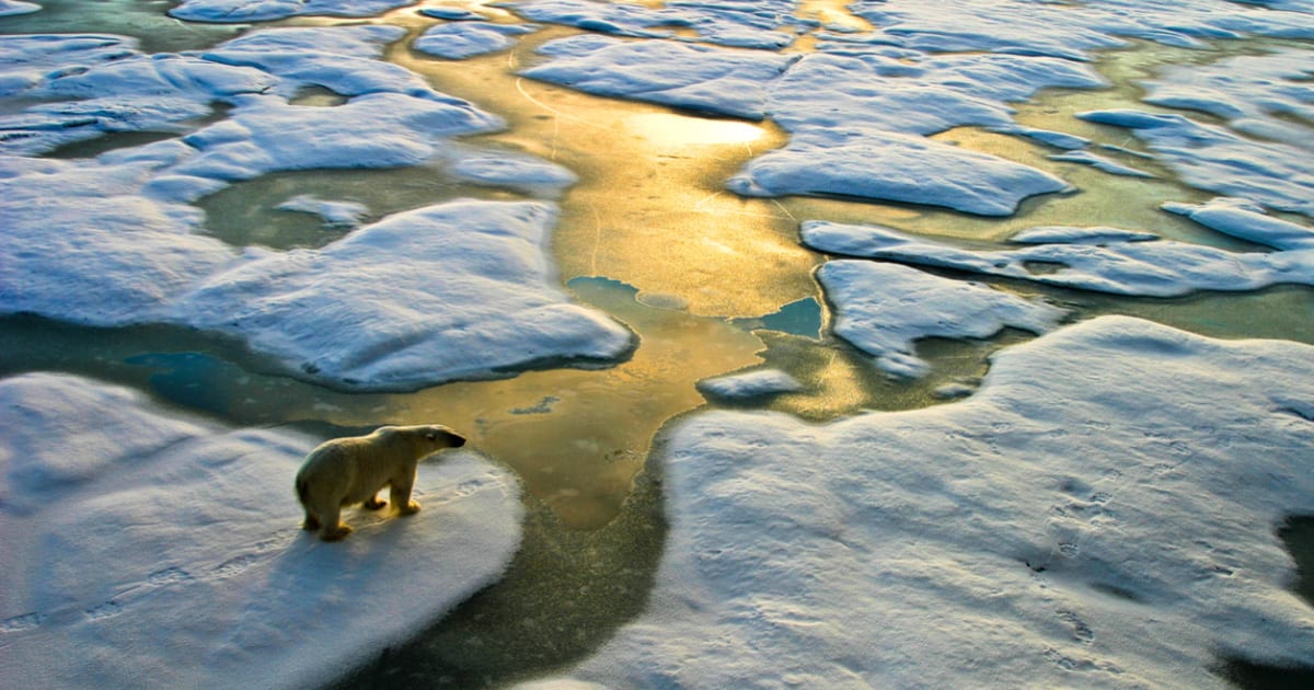 The Difference Between Climate Change and Global Warming