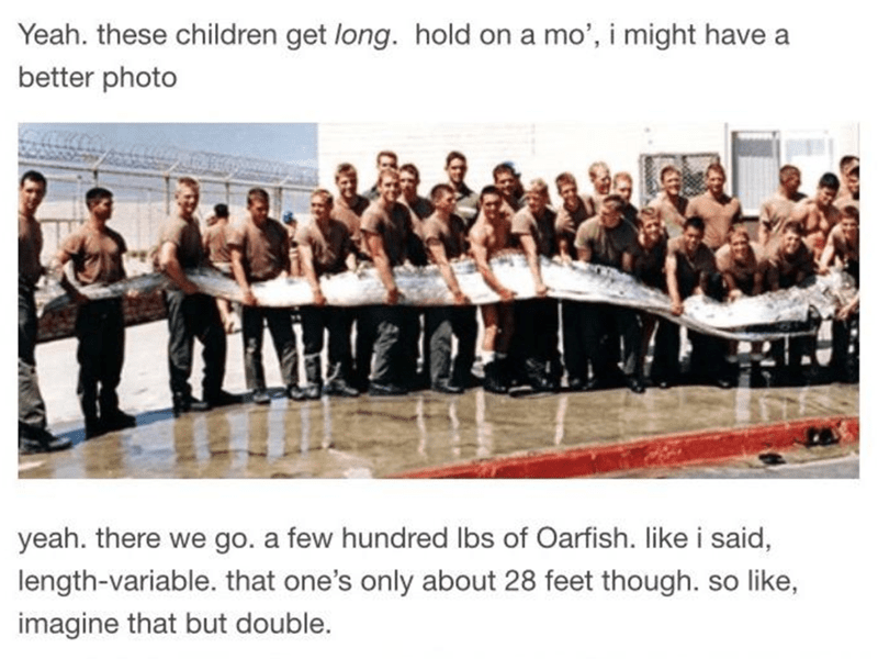 Meet the Oarfish: Terrifying Sea Serpent of Folklore