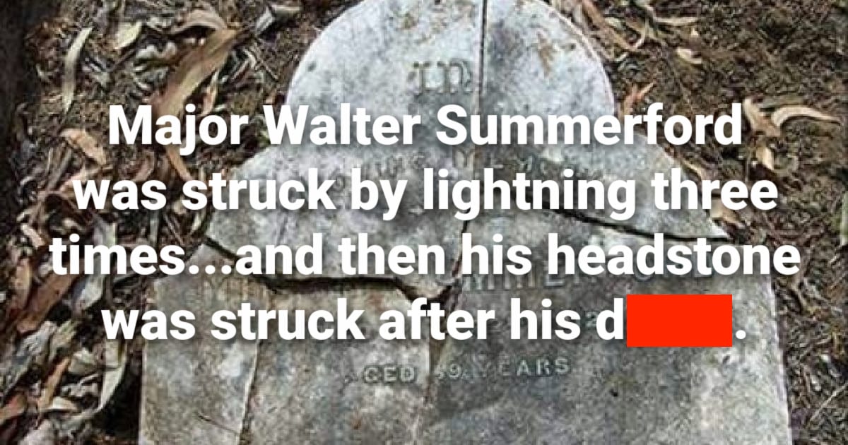 Let's Follow These 11 Facts Straight Down the Rabbit Hole