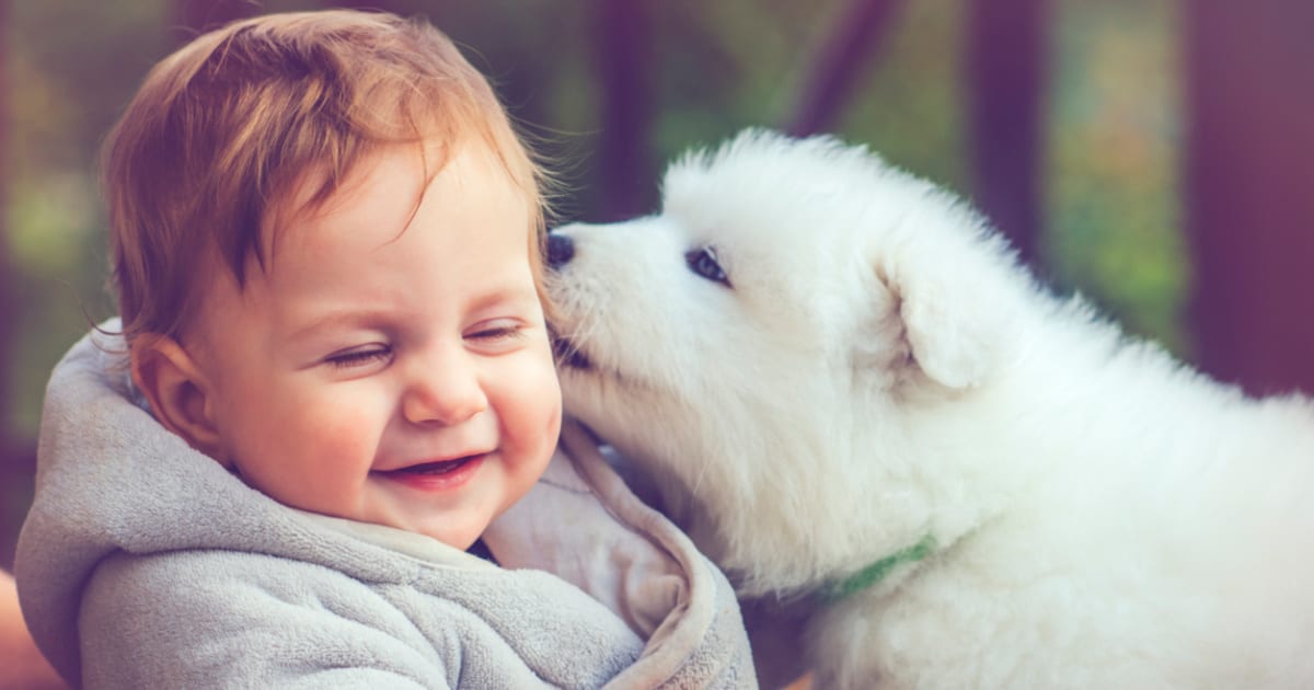 5 Reasons We Love Tiny, Cute Things, According to Science