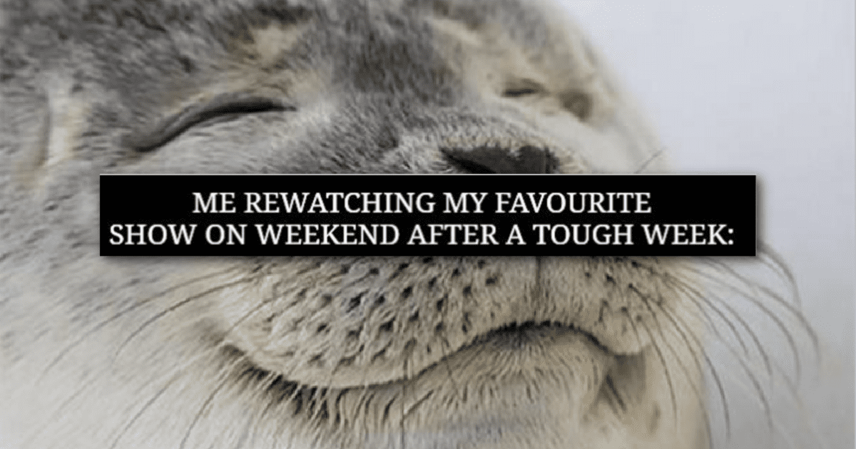 13 Pure And Wholesome Memes For Your Heart