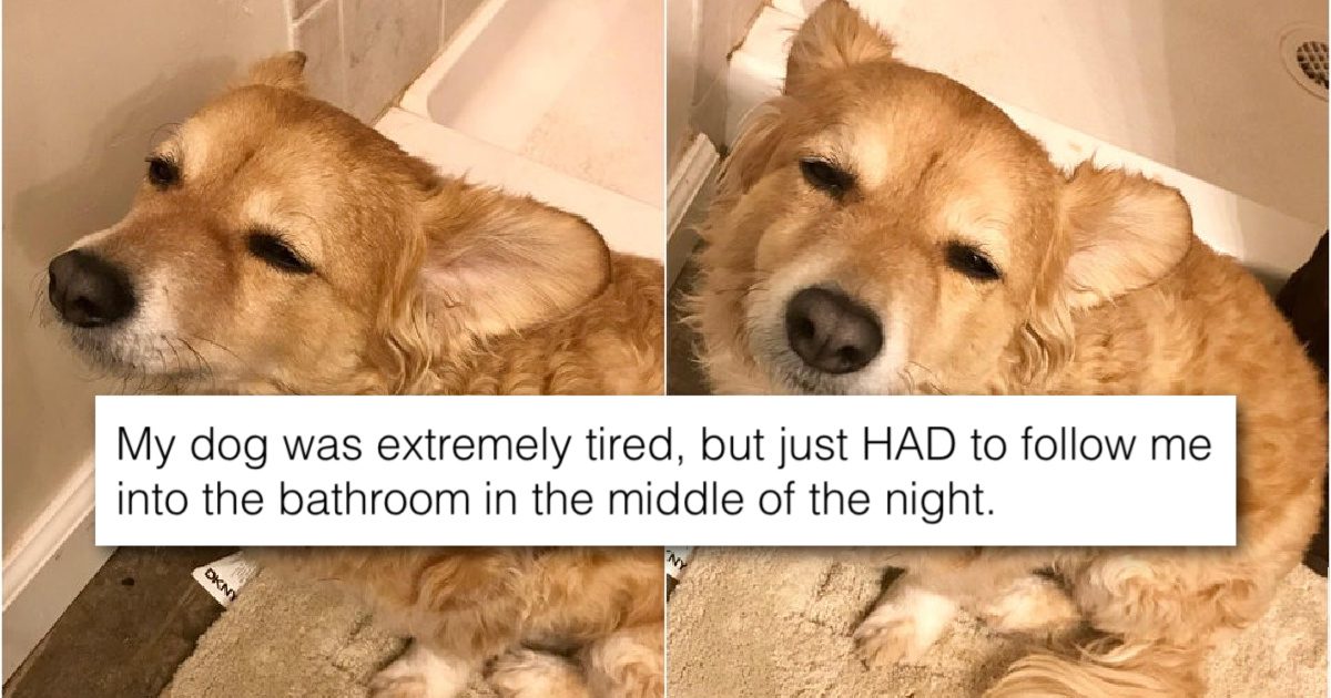 26 Wholesome Images To Warm Your Heart