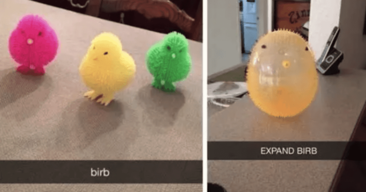 20 Images That Are Pretty Much Guaranteed To Make You Laugh