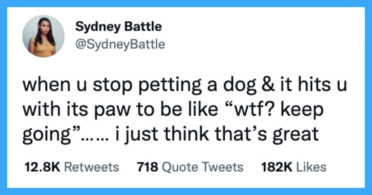 10 Silly Tweets That Will Make You Smile