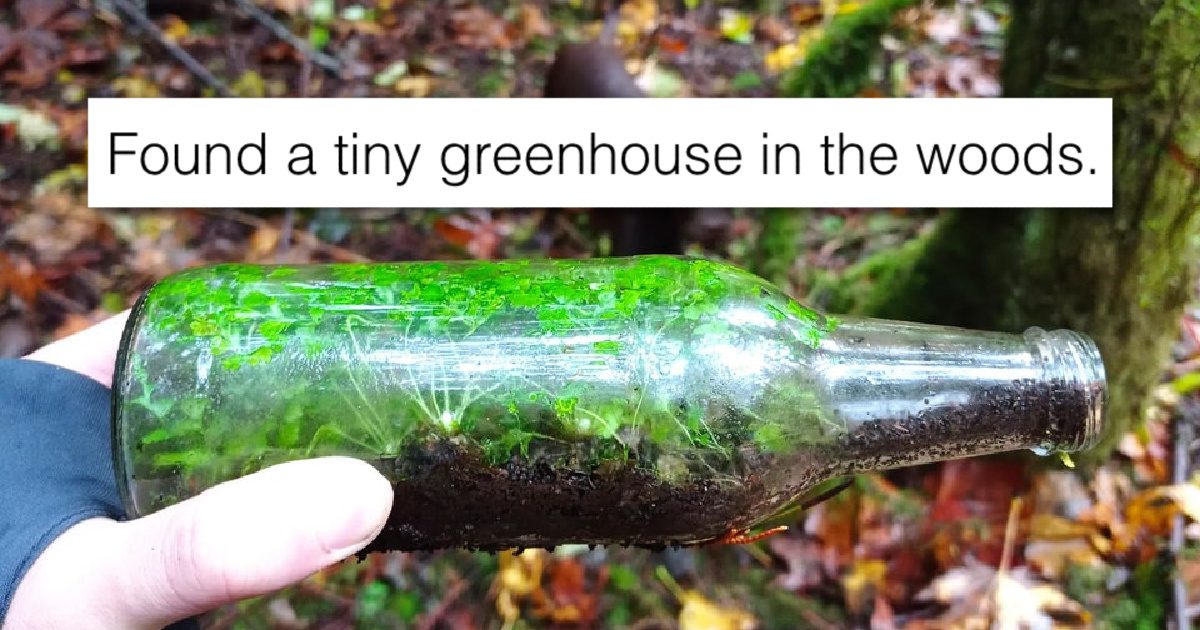 10 People Who Found Super Weird Things And Weren't Quite Sure What To Do