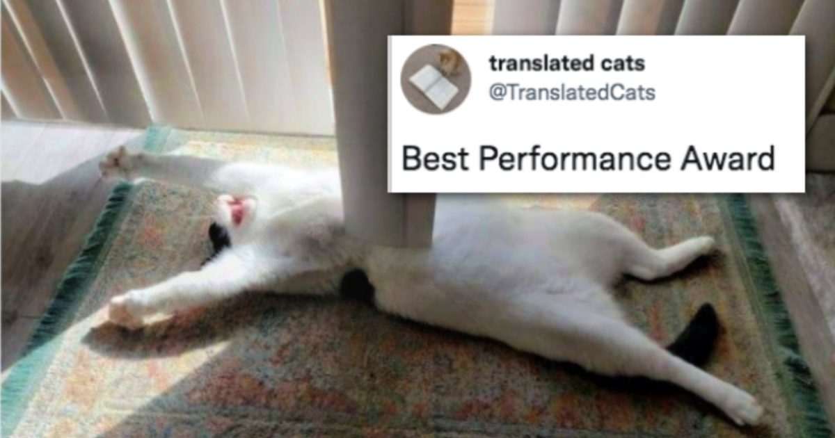 13 Of The Funniest Things We've Seen Lately