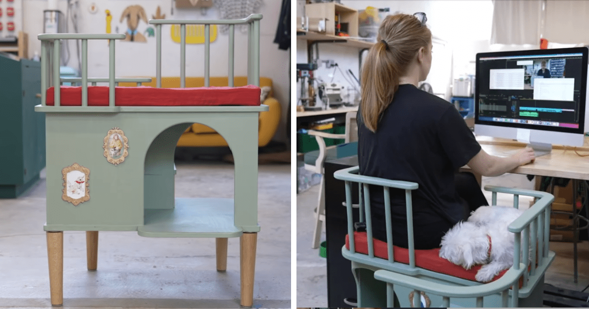 The Office Chair That You And Your Pets Totally Need