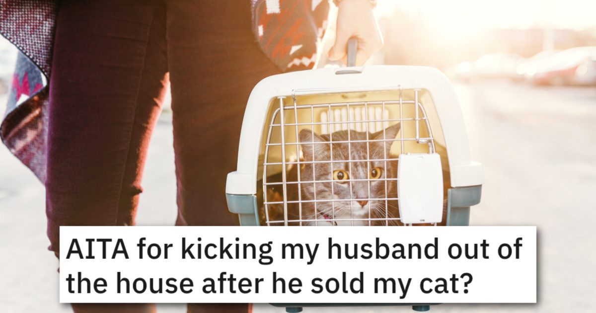 How Would You React If Your Partner Sold Your Cat? The Internet Responded.