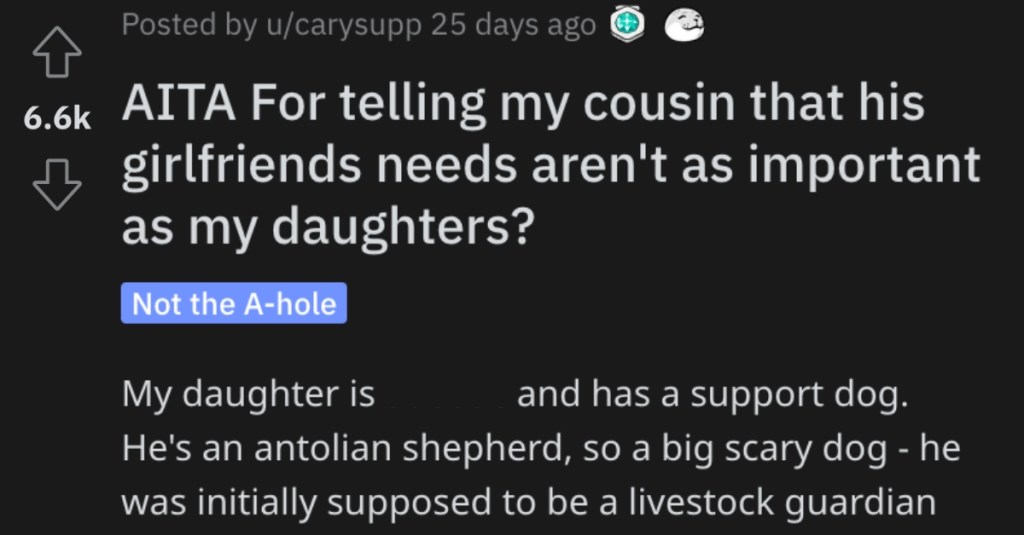 She Told Her Cousin That His Girlfriend S Needs Aren T As Important As Her Daughter S Was She