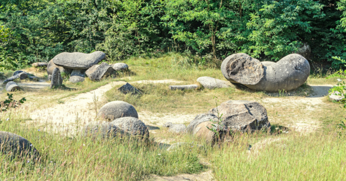 Always Wanted A Pet Rock? Check Out The "Living Rocks" Of Romania