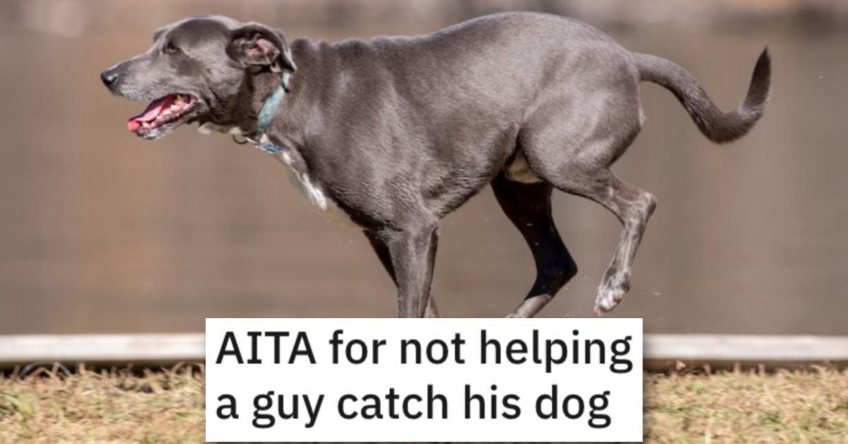Man Asks if He’s Wrong for Not Helping a Guy Catch His Dog